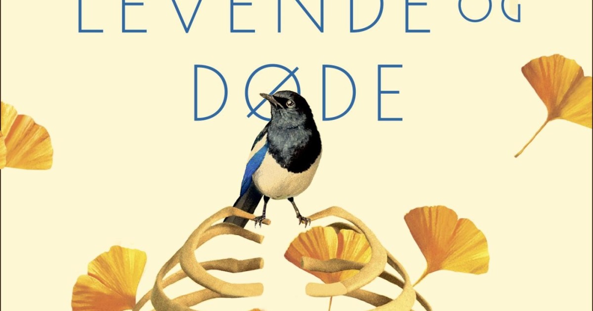 Anbefaling: Levende og Døde af Han Kang | Skanderborg Kommunes Biblioteker